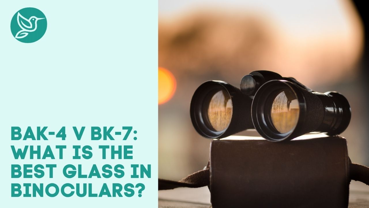 BaK-4 v BK-7: What is the best glass in binoculars?