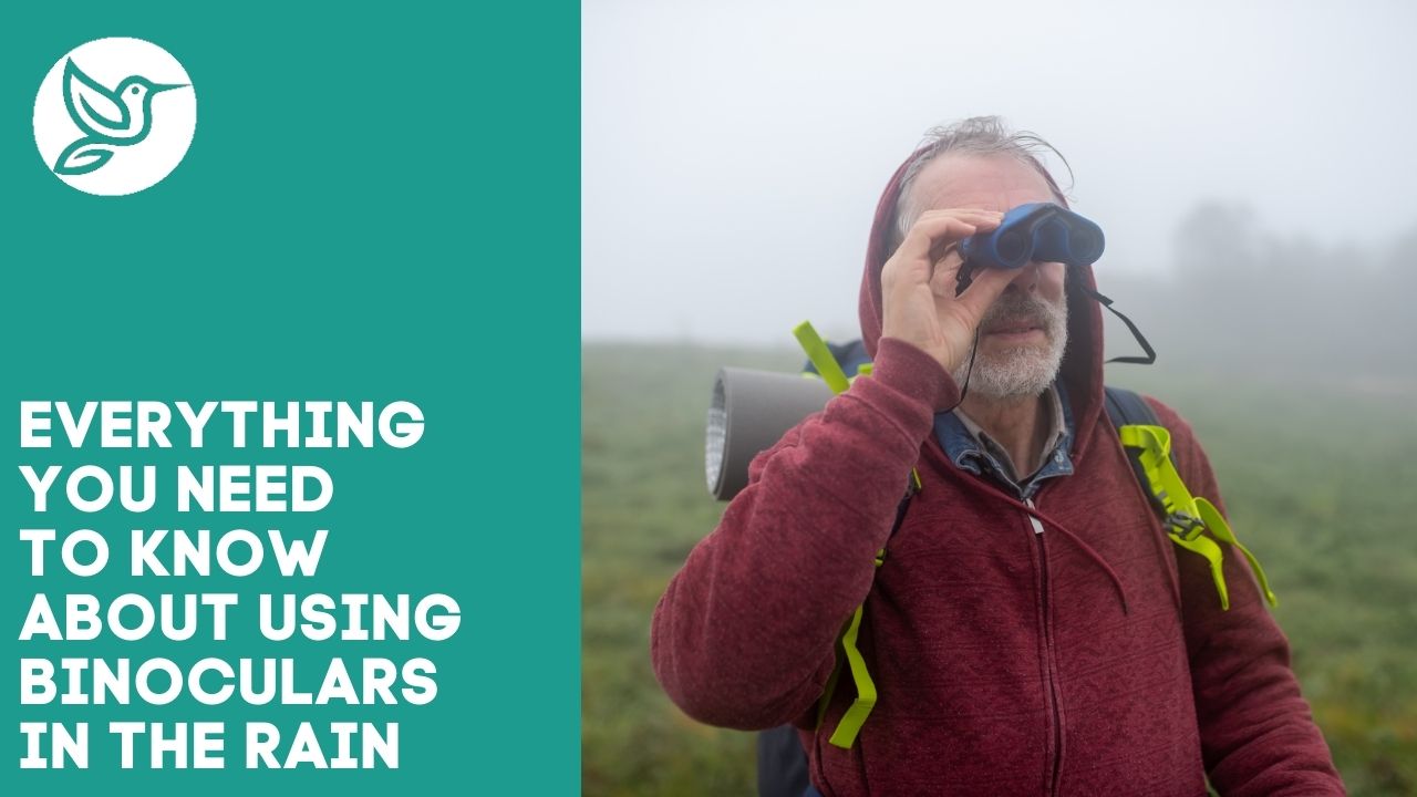 Everything you need to know about using binoculars in the rain