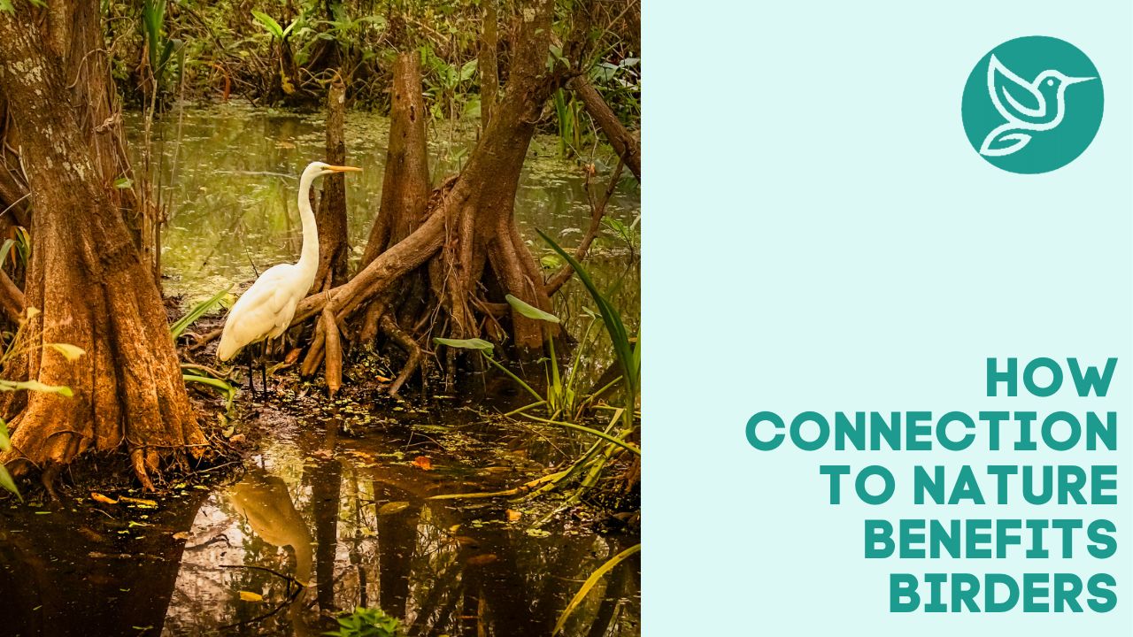 How connection to nature benefits birders