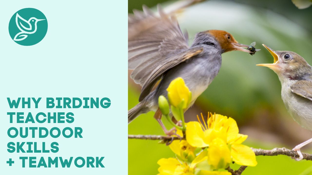 Why birding teaches outdoor skills + teamwork