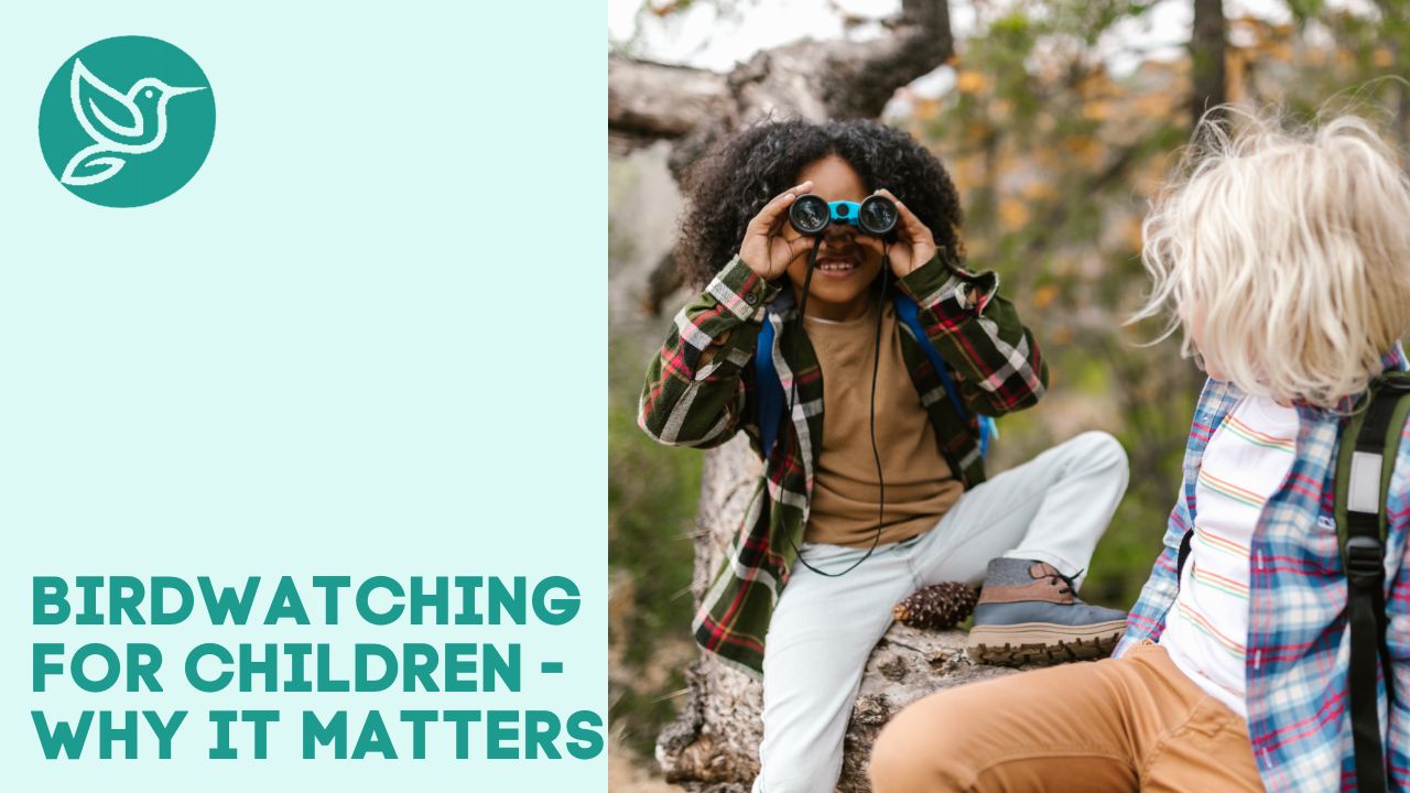 Birdwatching for children - why it matters