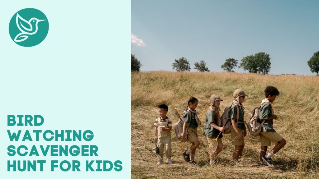 Birdwatching for children