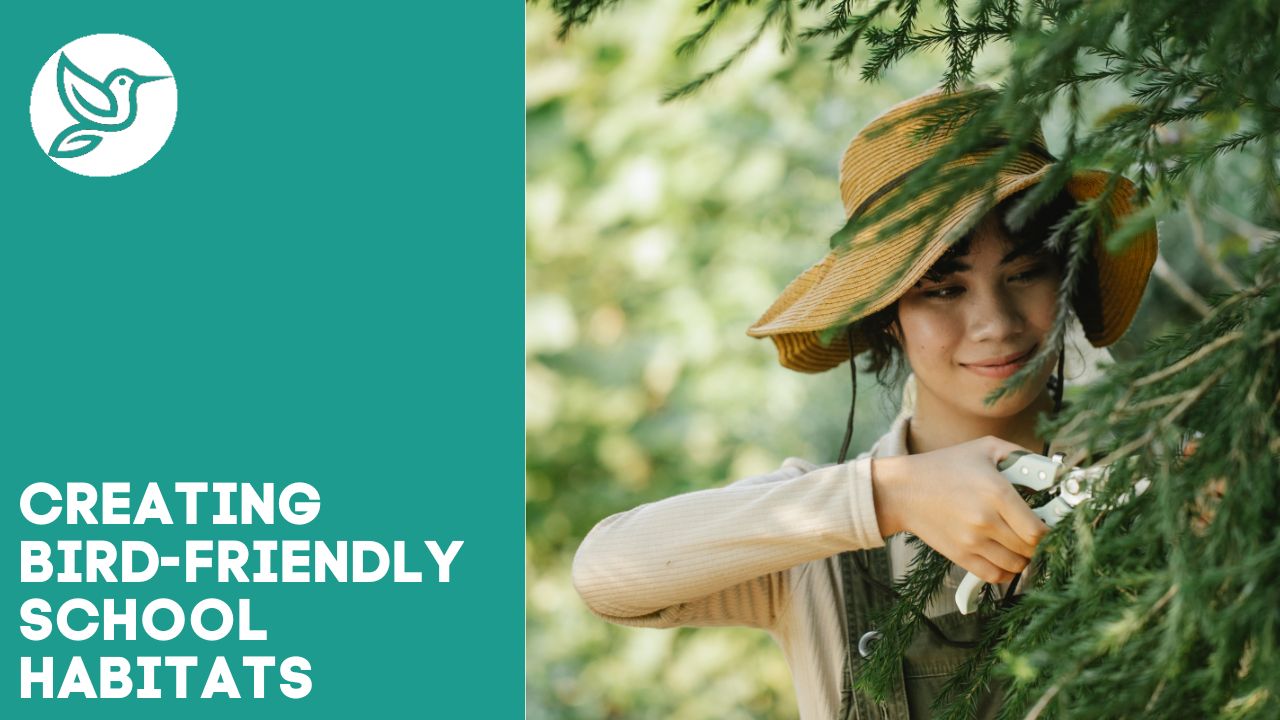 Creating Bird-Friendly School Habitats