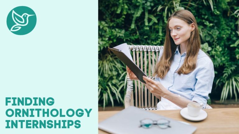 Ornithology/birding careers