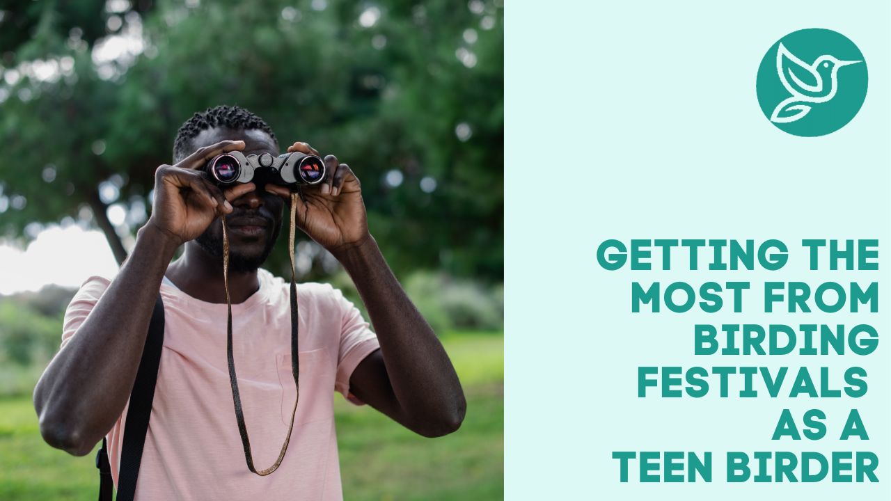 Getting the Most from Birding Festivals as a Teen Birder