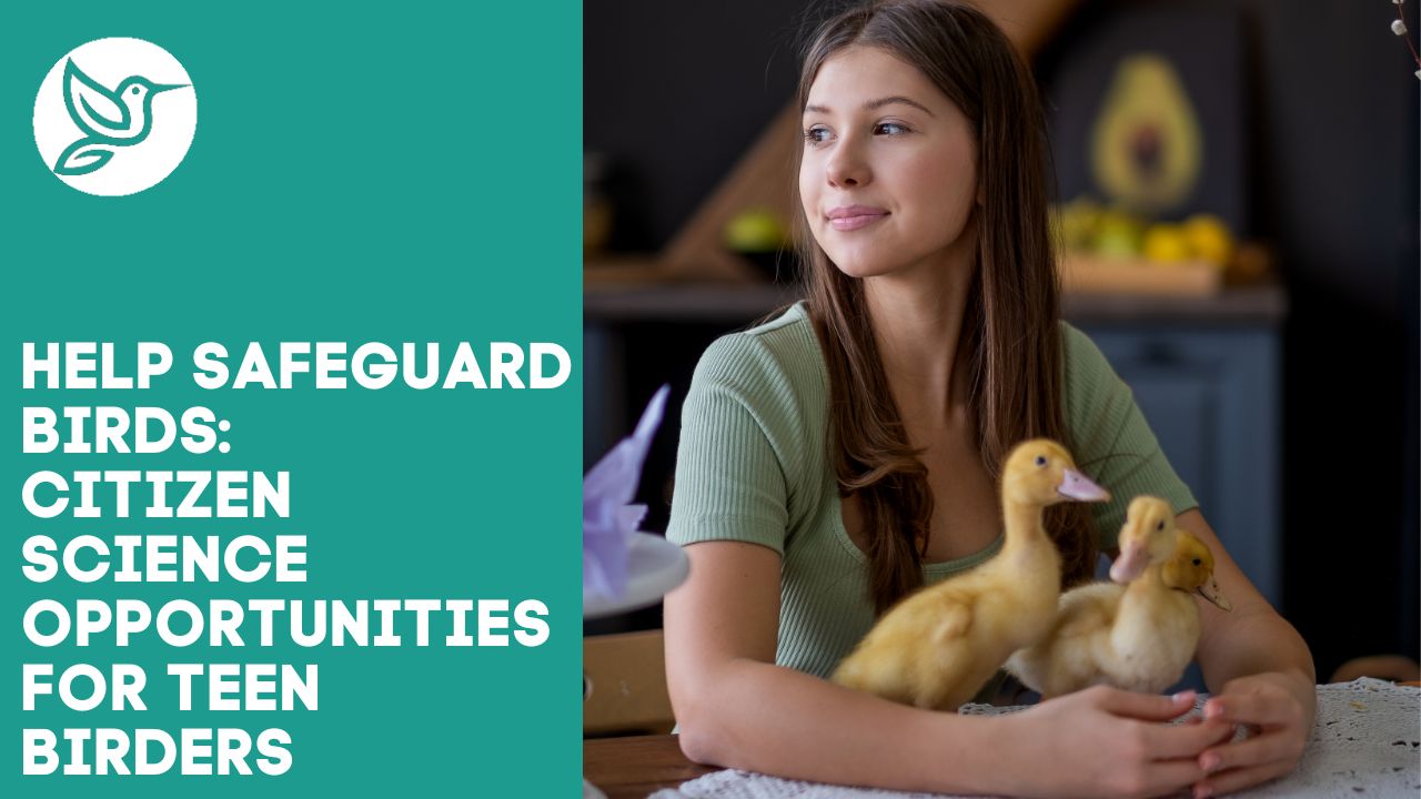 Help Safeguard Birds: Citizen Science Opportunities for Teen Birders
