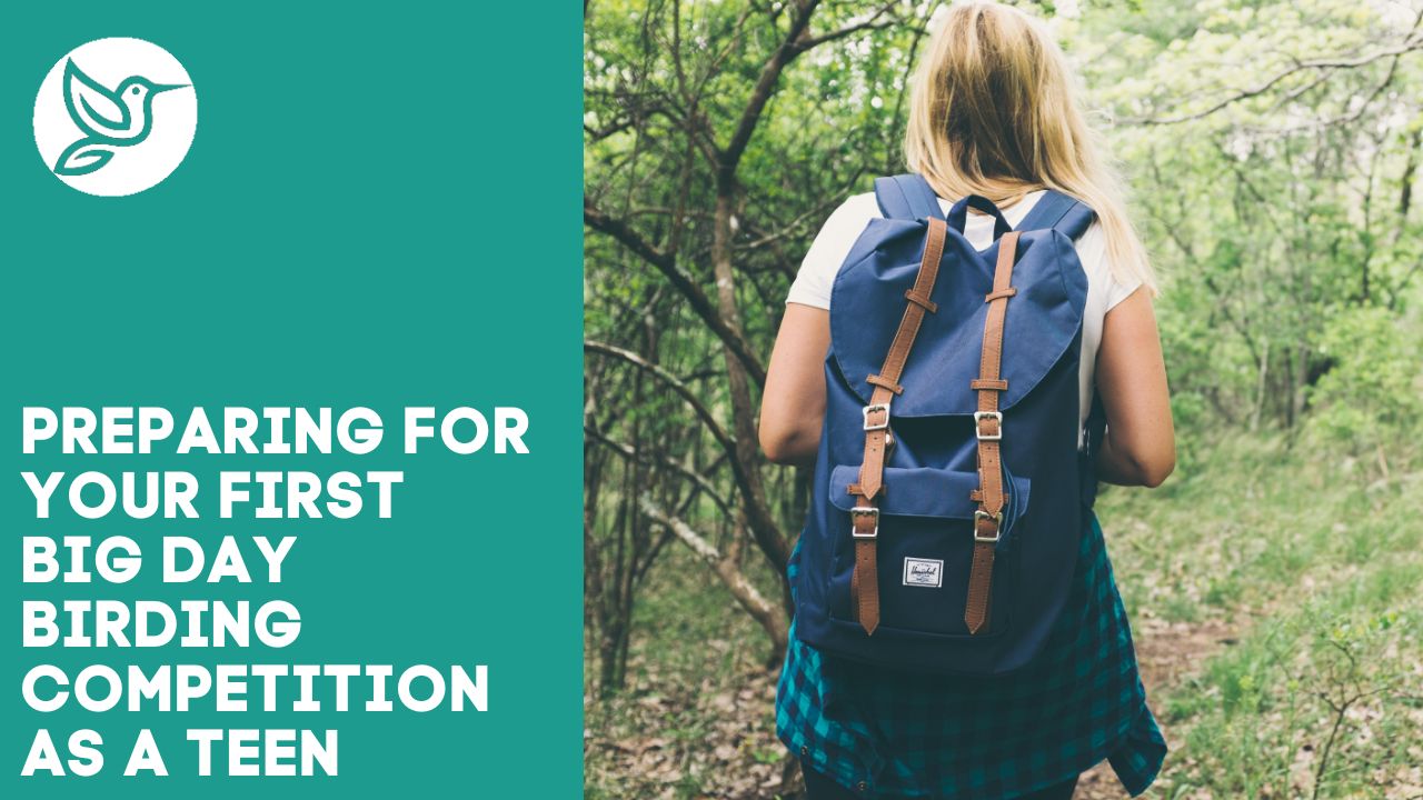 Preparing for Your First Big Day Birding Competition as a Teen