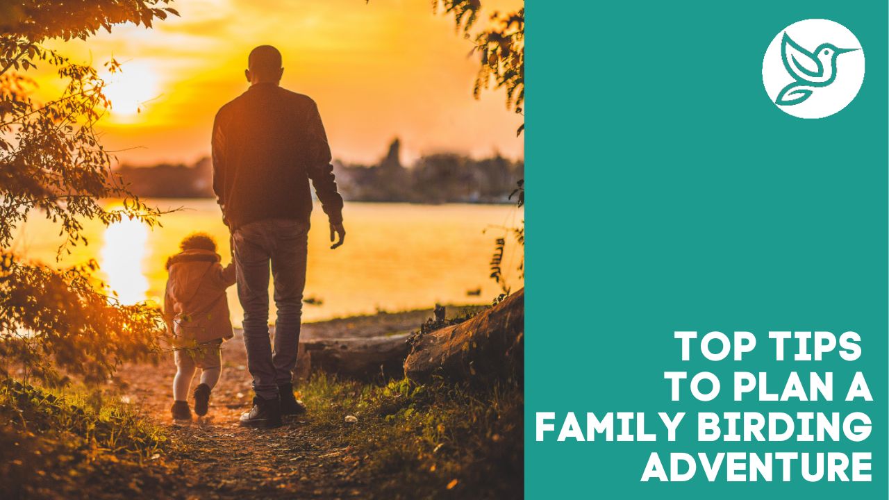 Top tips to plan a family birding adventure