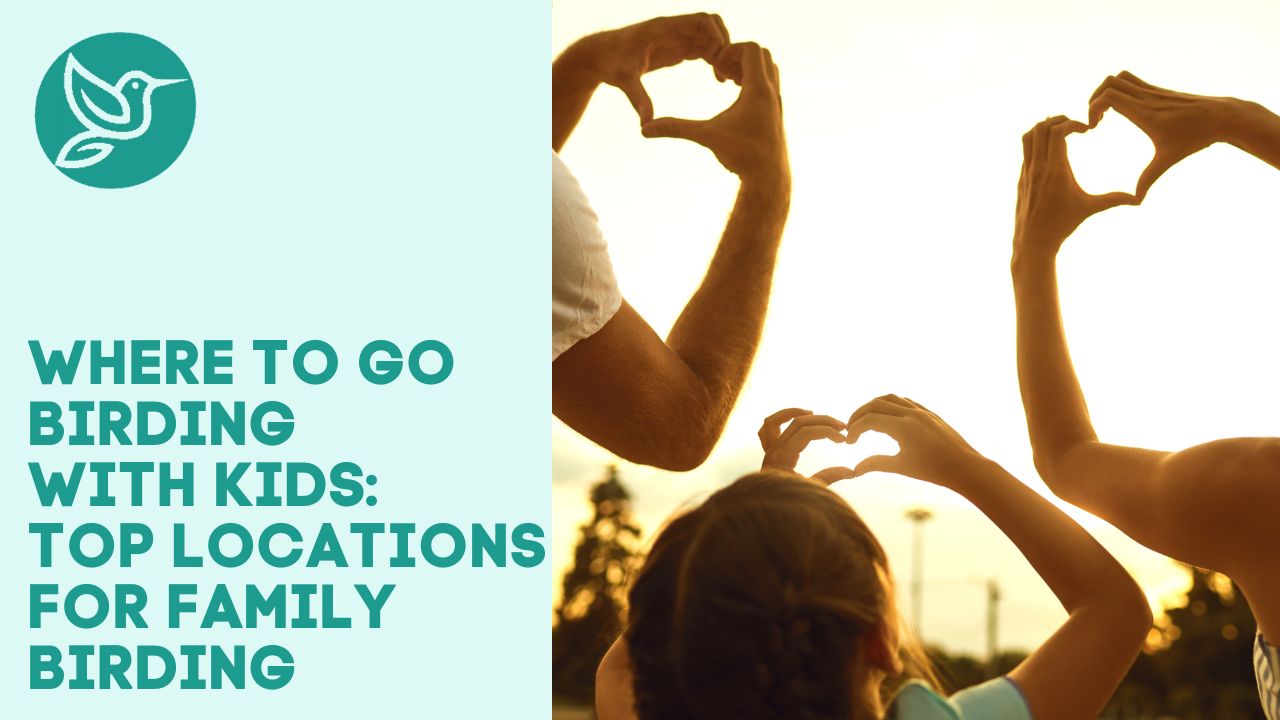 Where to go birding with kids: Top locations for family birding