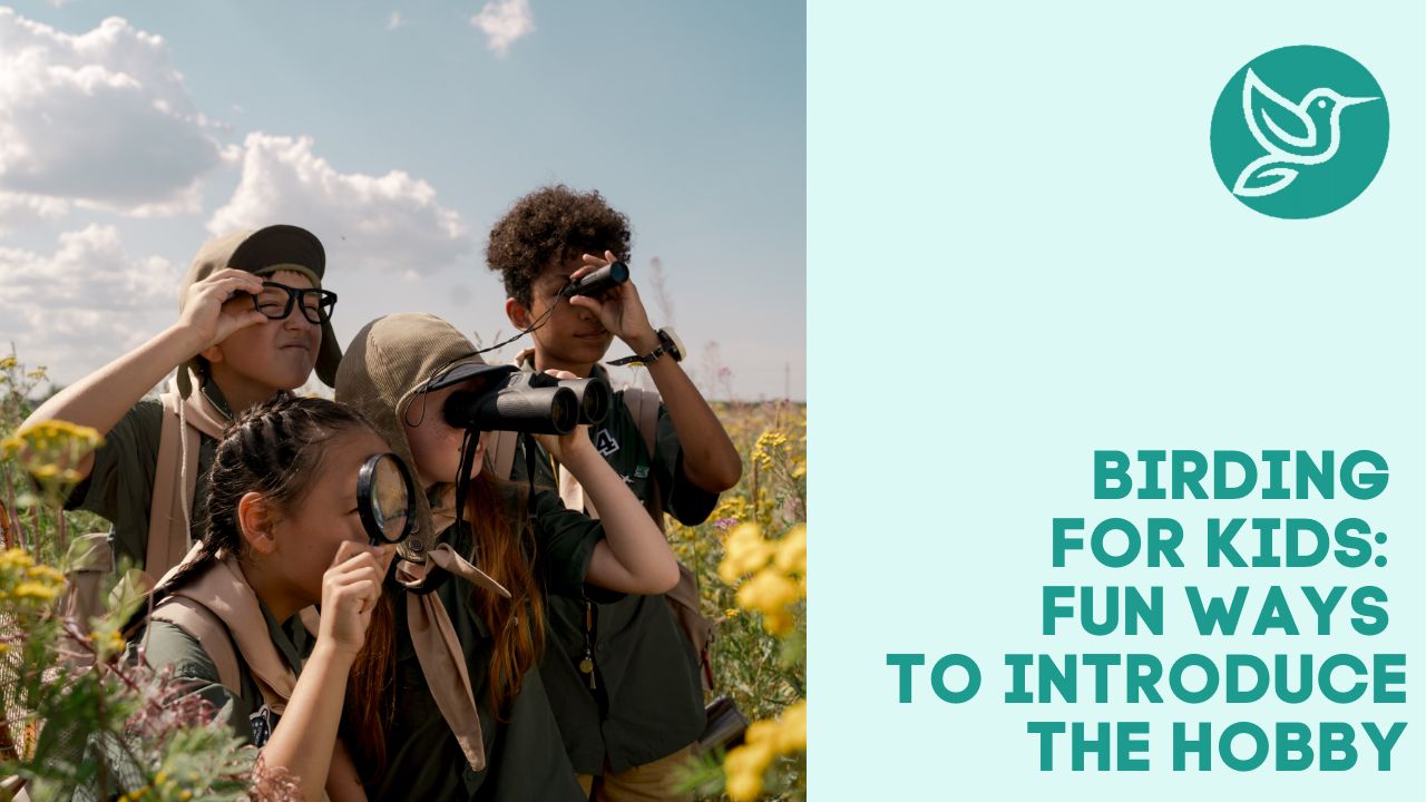 Birding for kids - fun ways to introduce the hobby